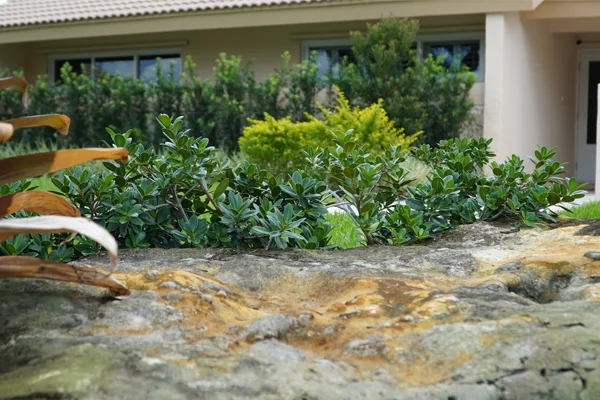 Decorative Boulders Installation Fort Lauderdale - Natural Stone Focal ...