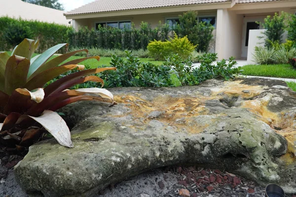 Decorative Boulders Installation Fort Lauderdale - Natural Stone Focal ...